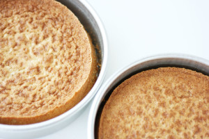 The Big Bang Theory - Cake Paper Party